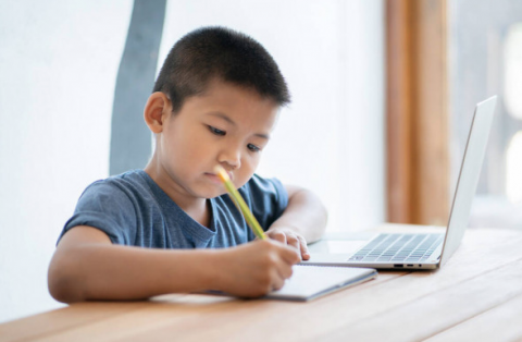 Primary School Tuition in Singapore: 30 Top P1-P6 & PSLE Tuition Options
